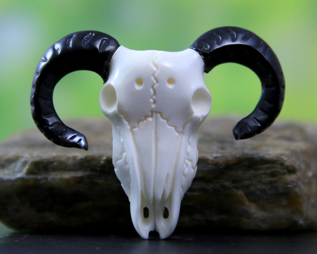 Carved Ram Cow Bone and Bull Horn & Bone DIY Jewelry 52mm WHOLESALE - Etsy