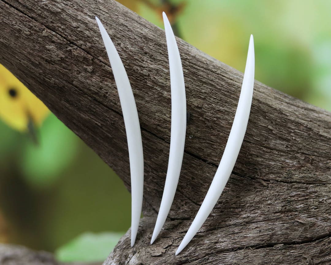 Hand-carved Bone Tusk Tribal Carving From Buffalo Bone, Polished ...