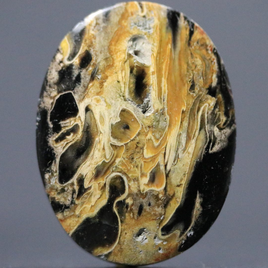 Palm Tree Root Fossil Elegant Designer Gemstone Beautiful All Natural ...