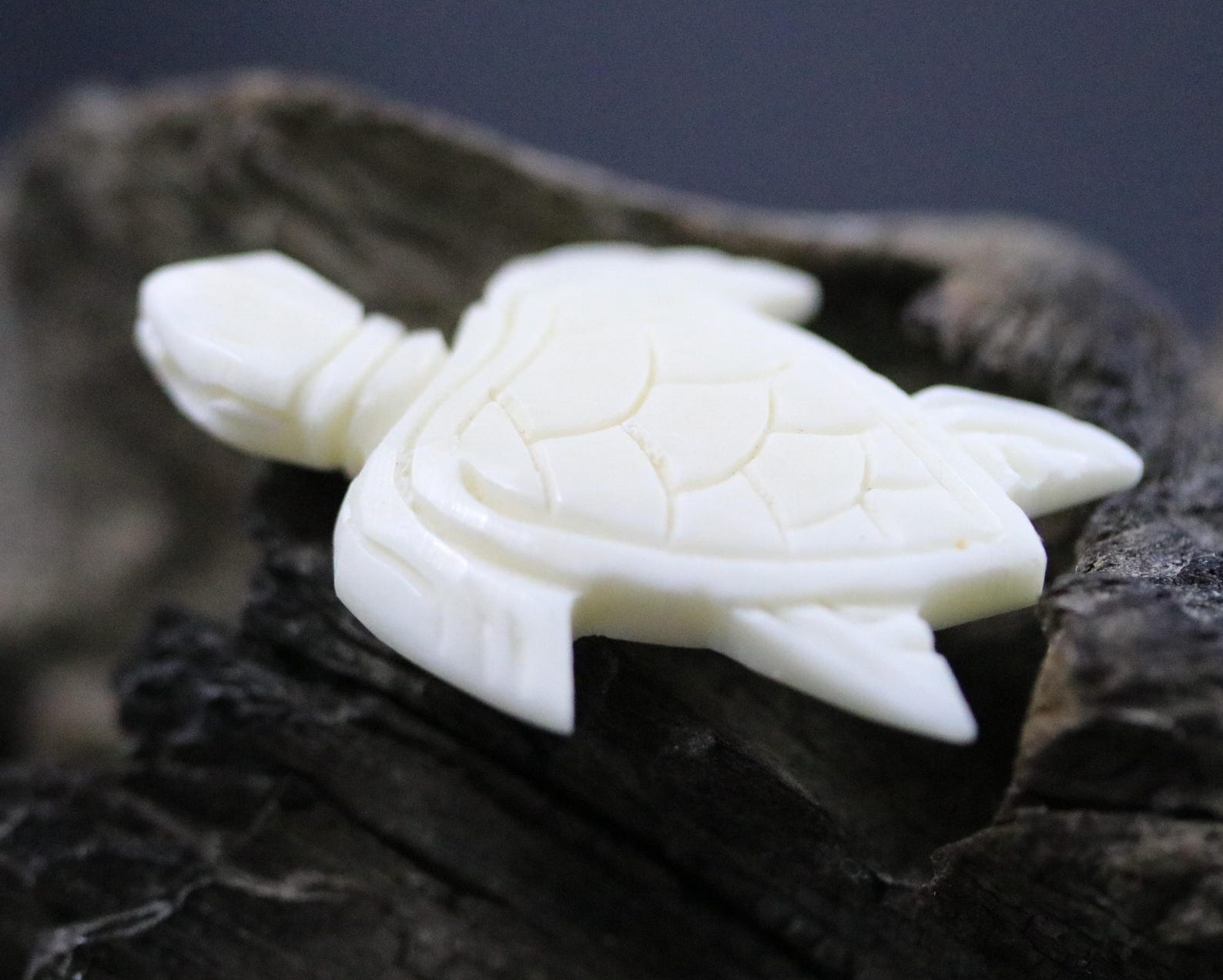 Carved Bone Sea Turtle Amulet, Ocean Spirit Animal, Buffalo Bone ...