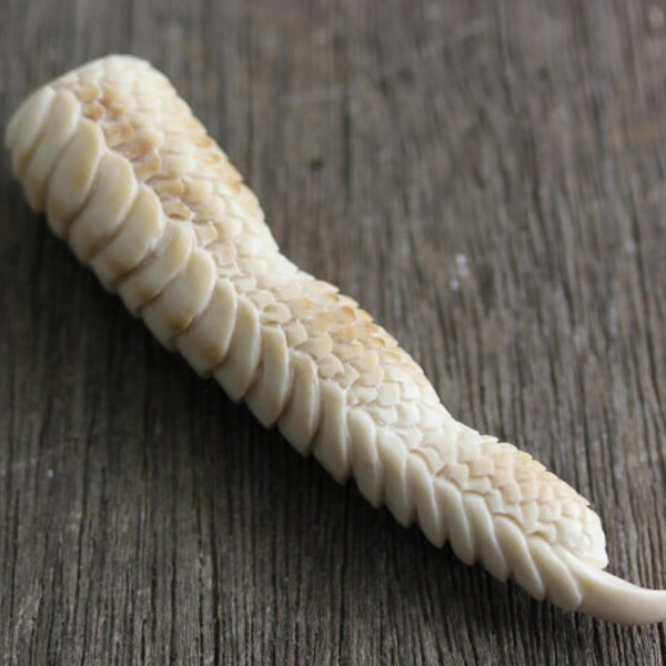 Bird Talons - Etsy