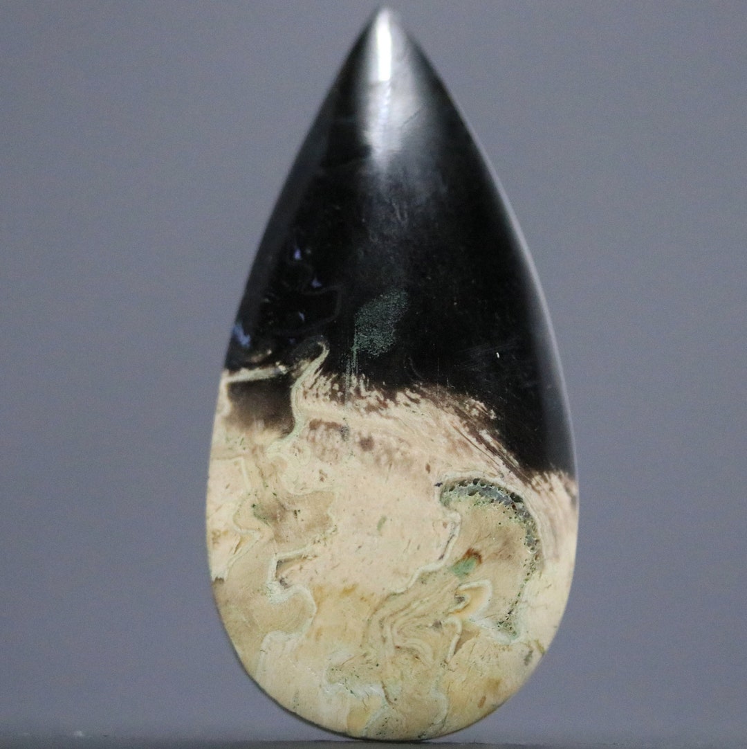 Earth's Legacy: Fossilized Palm Tree Root, One-of-a-kind Gem, 38mm - Etsy