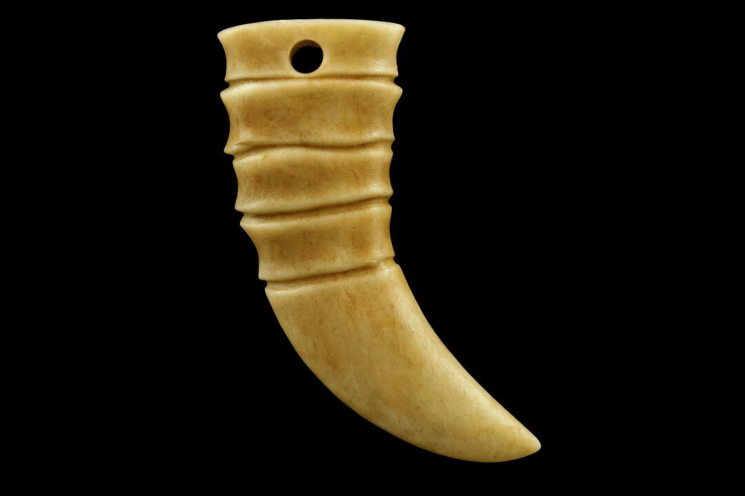 Bone Claw Pendant • Top-drilled Tribal Talisman • Hand-carved • 34mm - Etsy