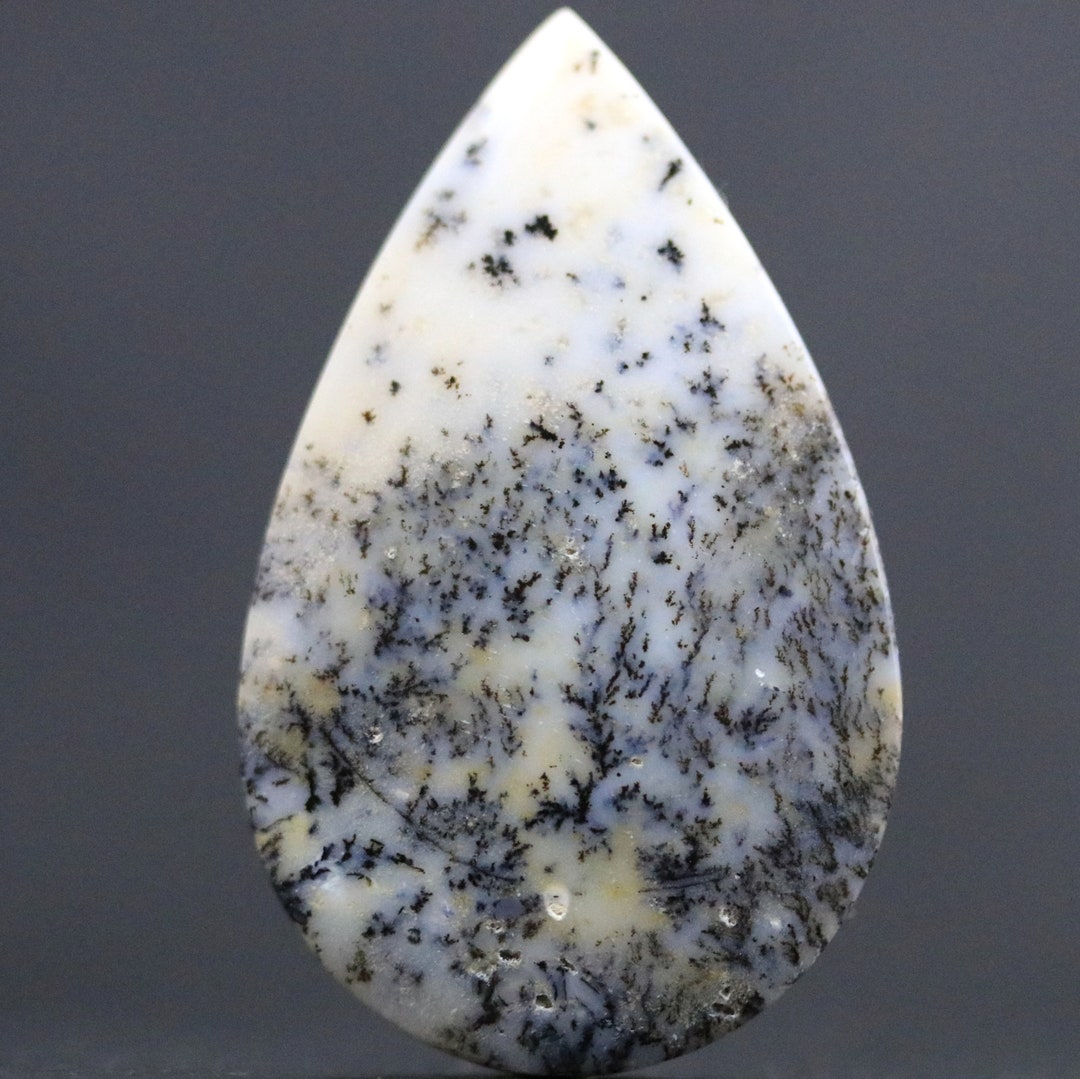 Dendritic Opal Merlinite With Fern Like Manganese Inclusions Natural ...