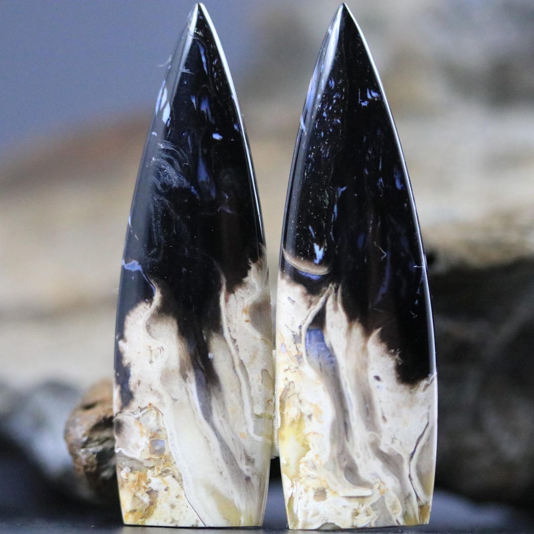 Polished 45mm Fossil Palm Root Agate Pair - Ancient Wood With "eyes" - Etsy