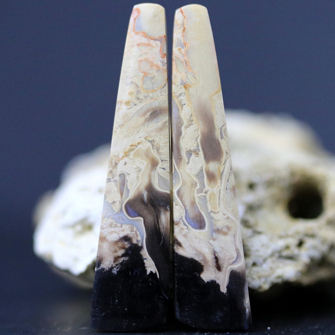 Create Earthy Elegance: Natural Palm Root Agate Matched Set, 45mm - Etsy