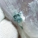 Bi Color Kunzite Spodumene Crystal With Indicolite Tourmaline - Etsy