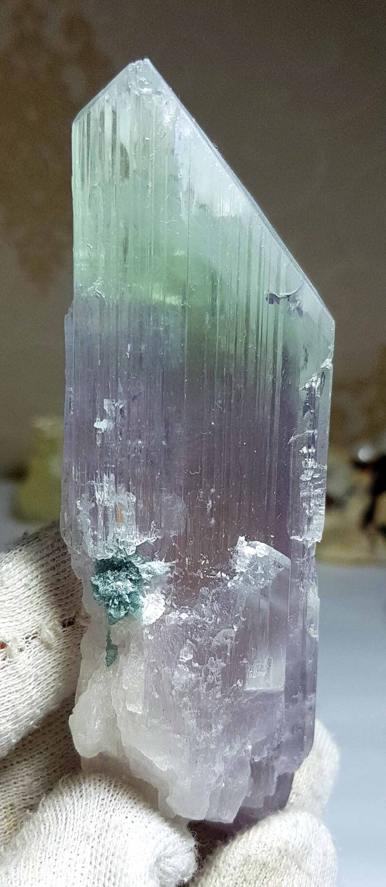 Bi Color Kunzite Spodumene Crystal With Indicolite Tourmaline - Etsy