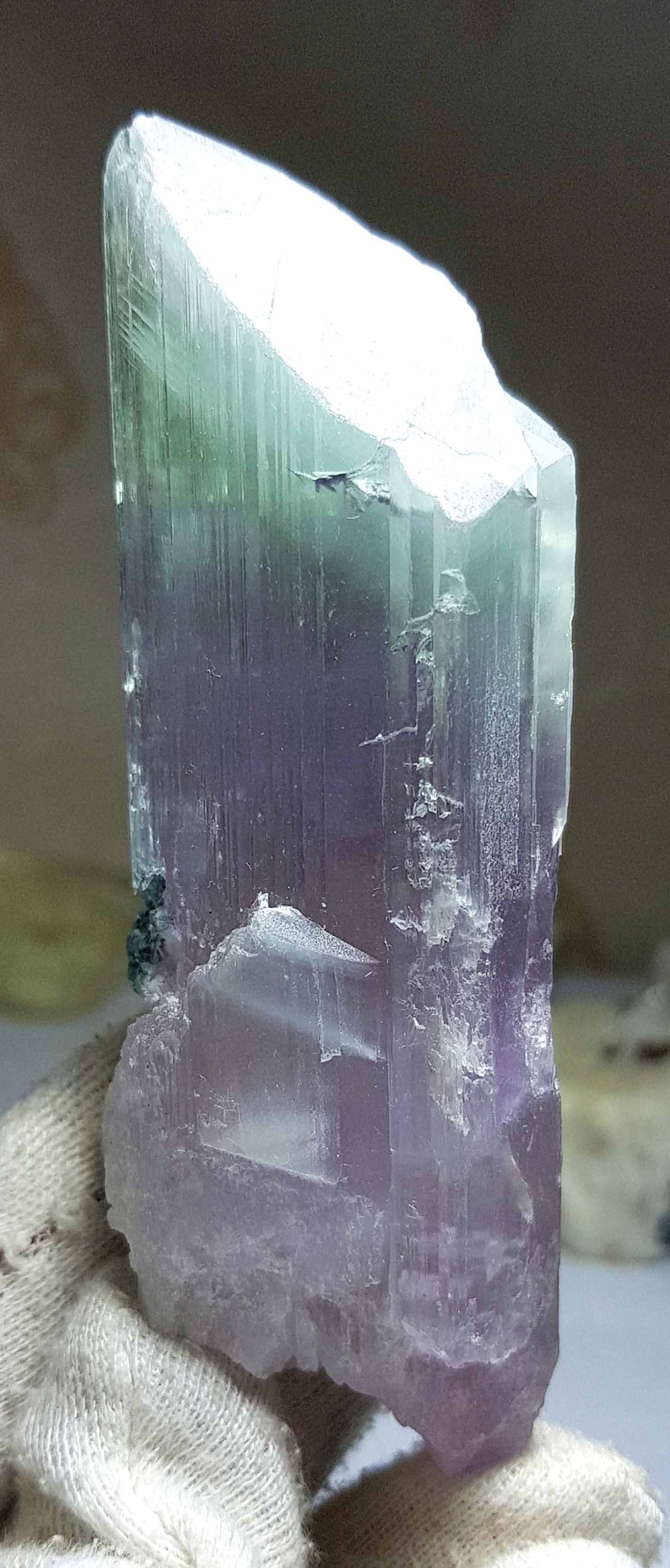 Bi Color Kunzite Spodumene Crystal With Indicolite Tourmaline - Etsy