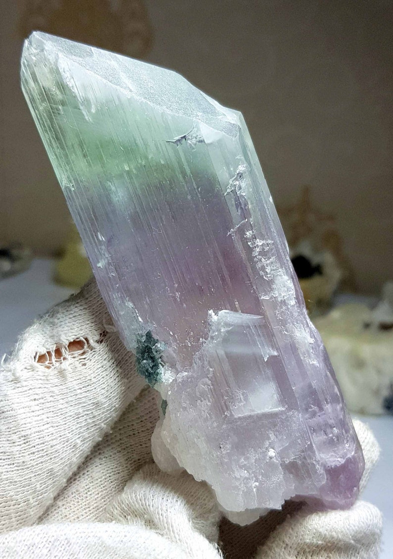 Bi Color Kunzite Spodumene Crystal With Indicolite Tourmaline - Etsy