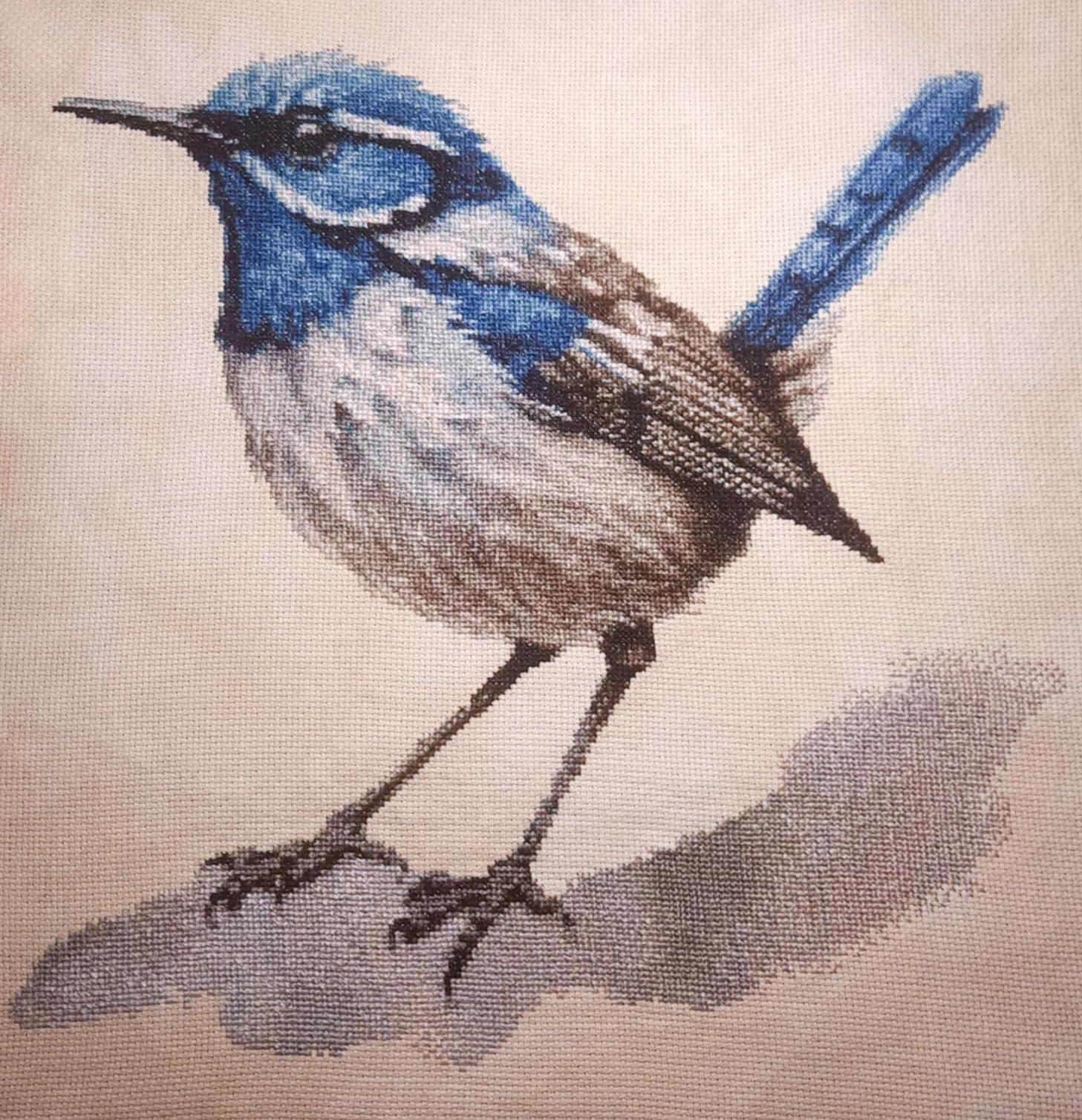 Cross Stitch PDF Blue Wren. Pattern Keeper Compatible. Instant Download ...