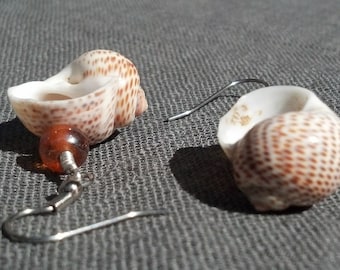 Conch shell earrings | Etsy