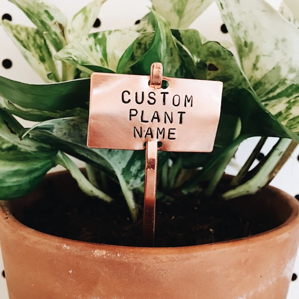 Plant Signs Funny - Etsy