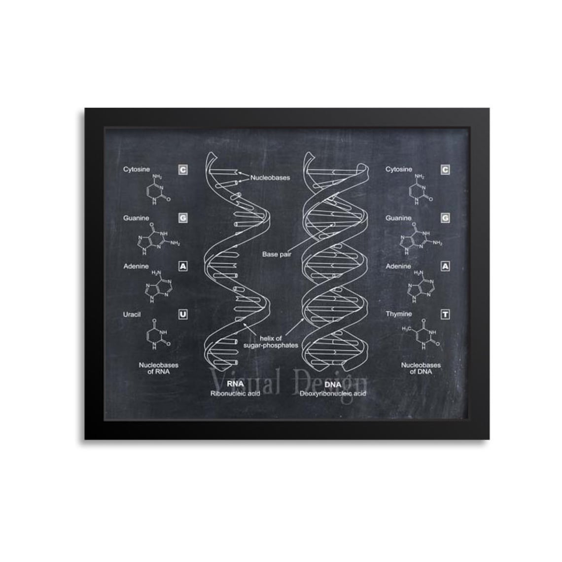 DNA Print Art RNA Print Art Science Art Human DNA Biology | Etsy