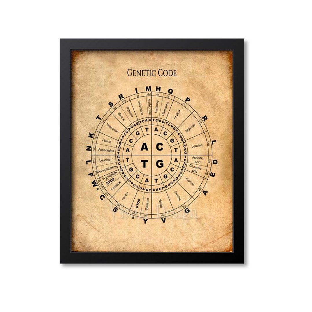 DNA Print Art, Science Art, Human DNA, Biology Print, Science Art Print ...