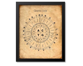 DNA Art Print Book Art Biology Art Particle Art Science Human - Etsy