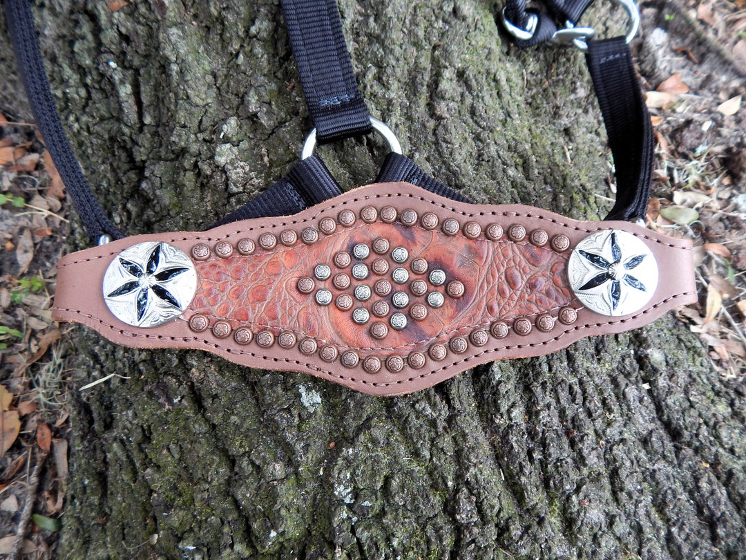 Studded Western Bronc Halter by Peterson Tack - Etsy