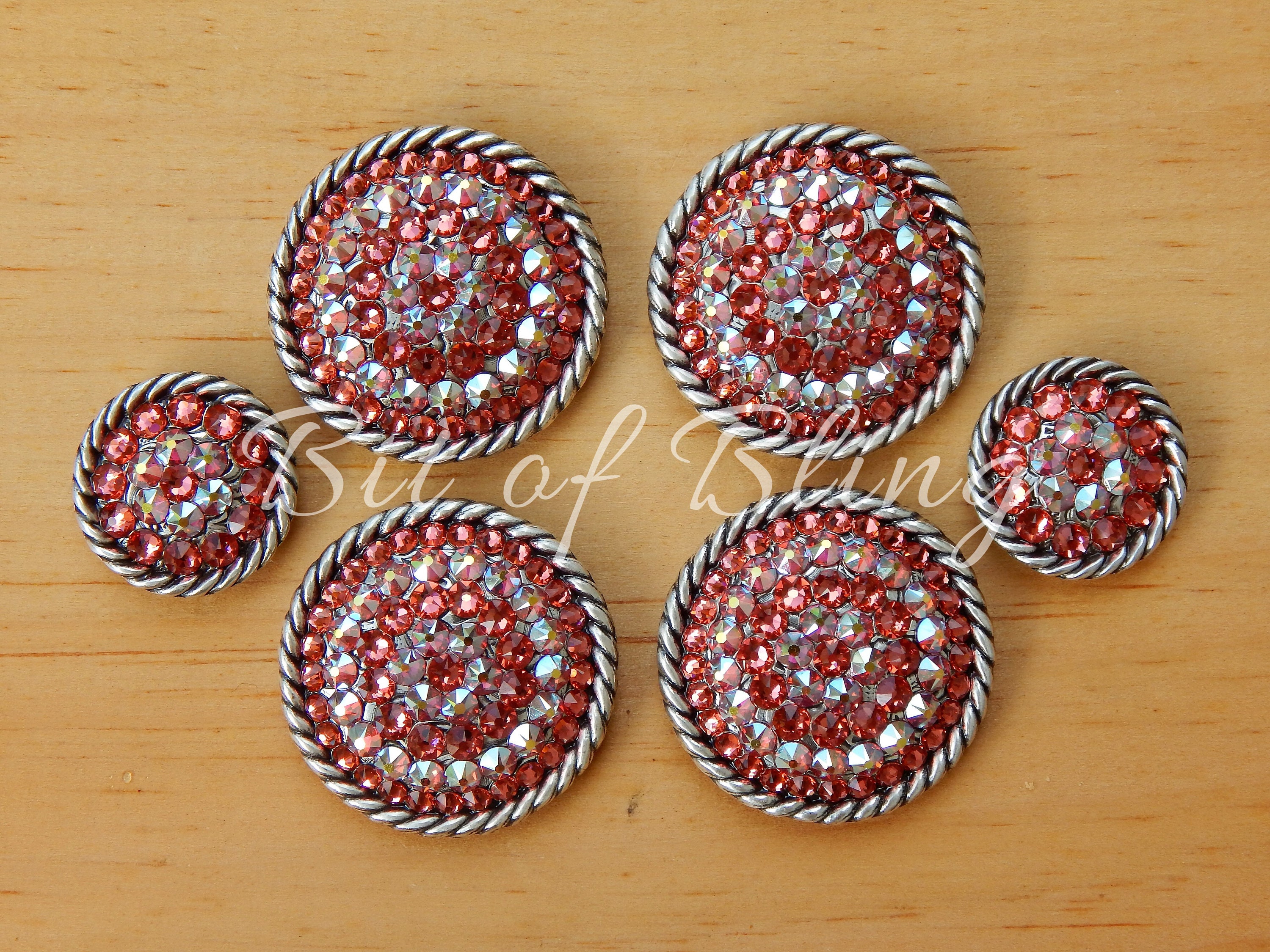 Antique Silver Round Rope Edge Saddle Concho Set Padparadscha - Etsy