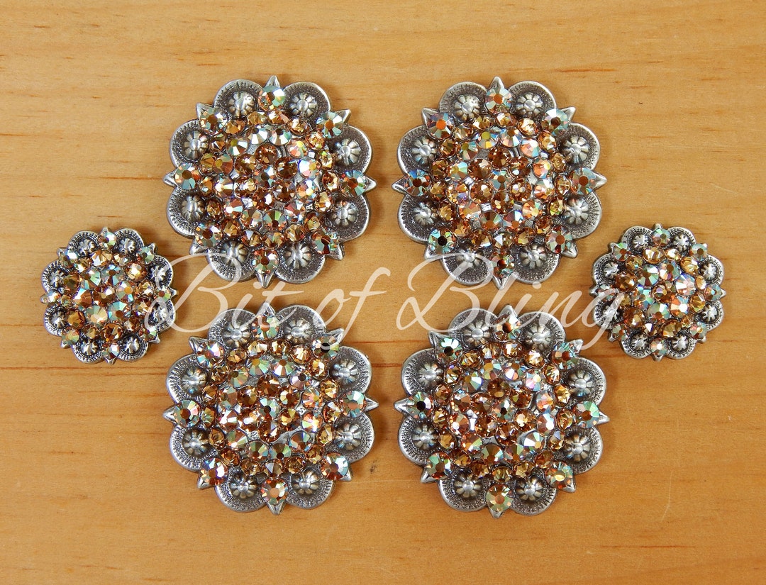 Saddle Concho Set Antique Silver Round Berry Conchos Light Colorado ...