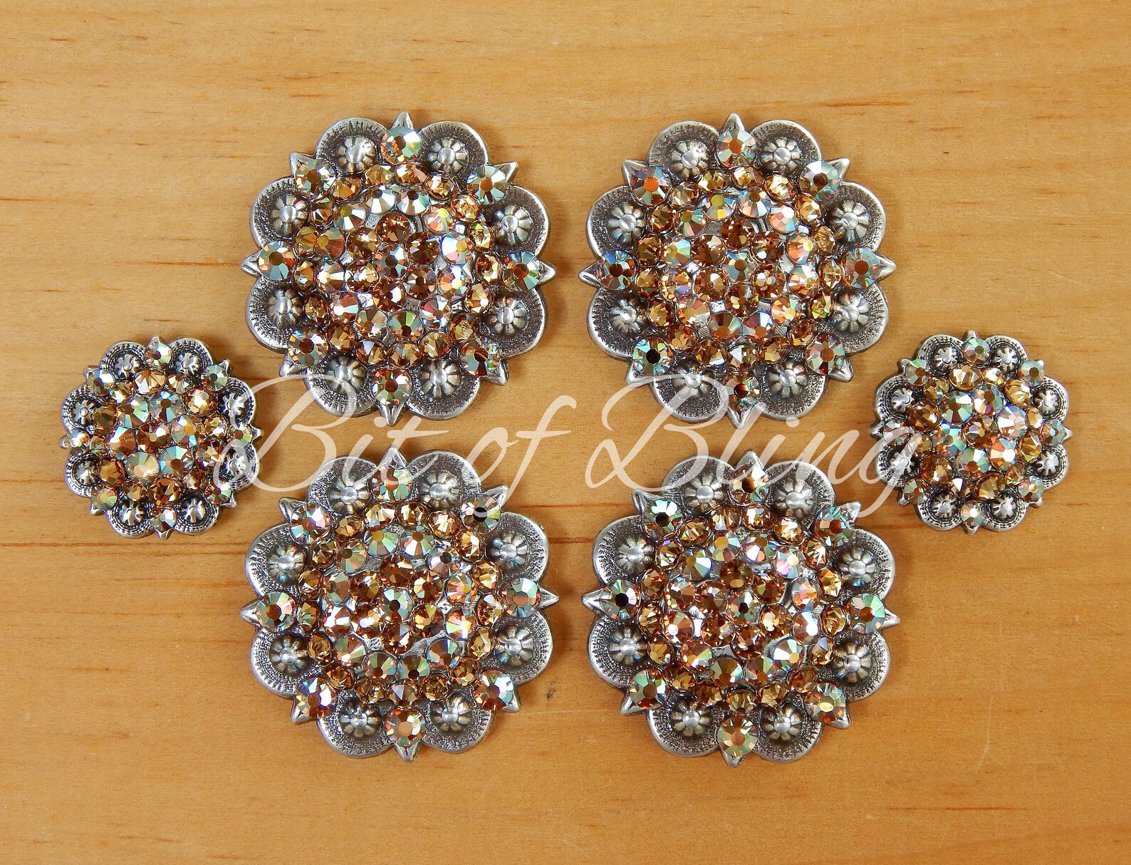 Saddle Concho Set Antique Silver Round Berry Conchos Light Colorado ...