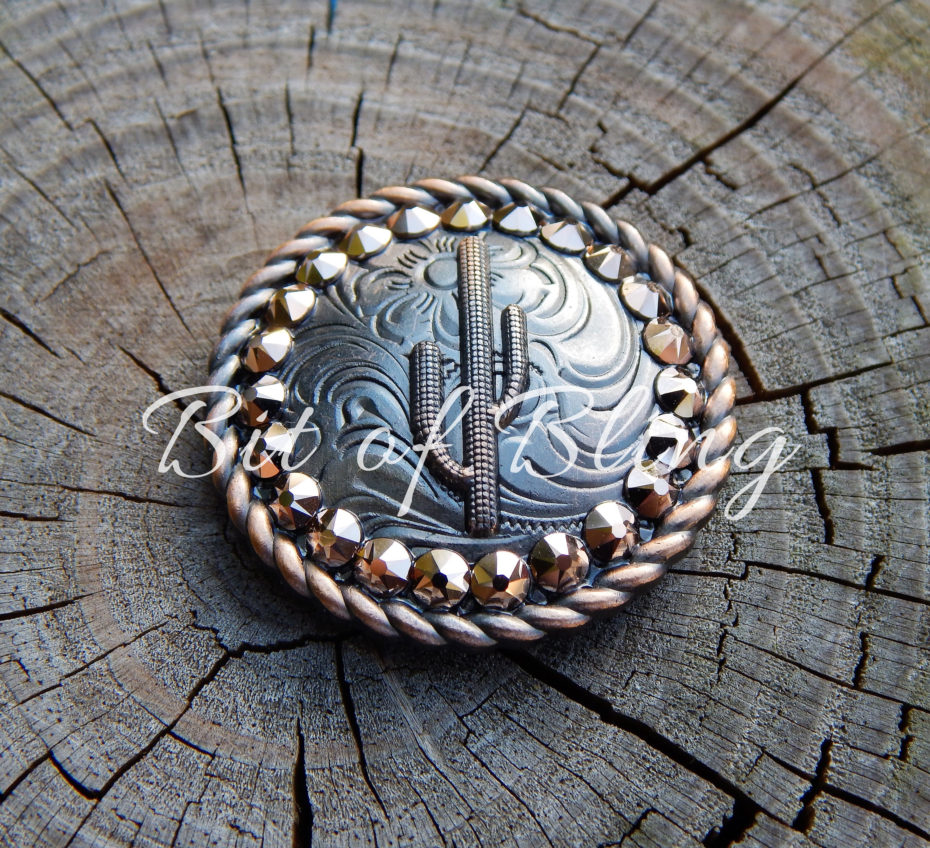 Copper and Rose Gold Round Rope Edge Cactus Concho Horse Tack Custom ...