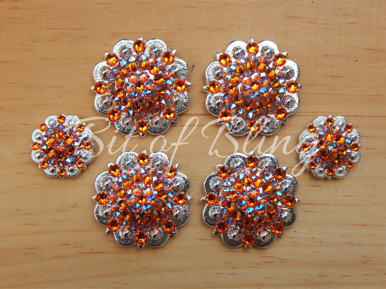 Saddle Concho Set Shiny Silver Round Berry Conchos Rhinestones in ...
