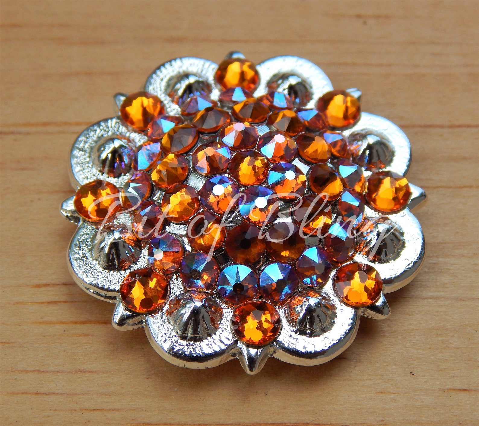 Saddle Concho Set Shiny Silver Round Berry Conchos Rhinestones in ...