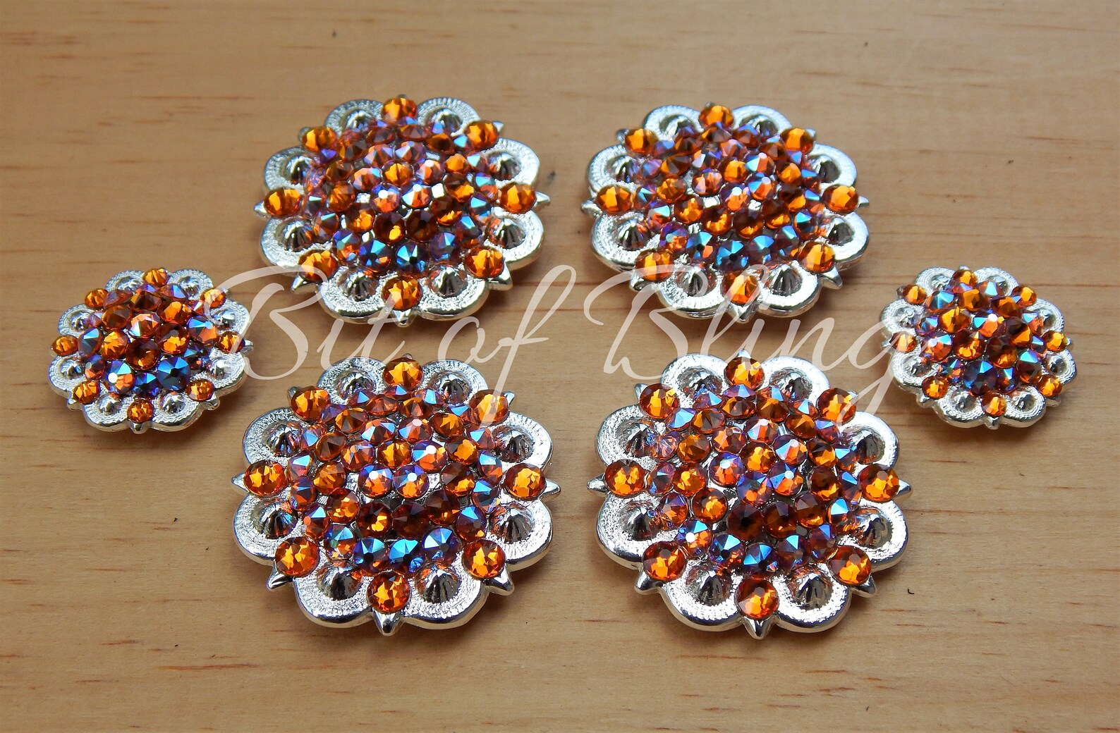 Saddle Concho Set Shiny Silver Round Berry Conchos Rhinestones in ...