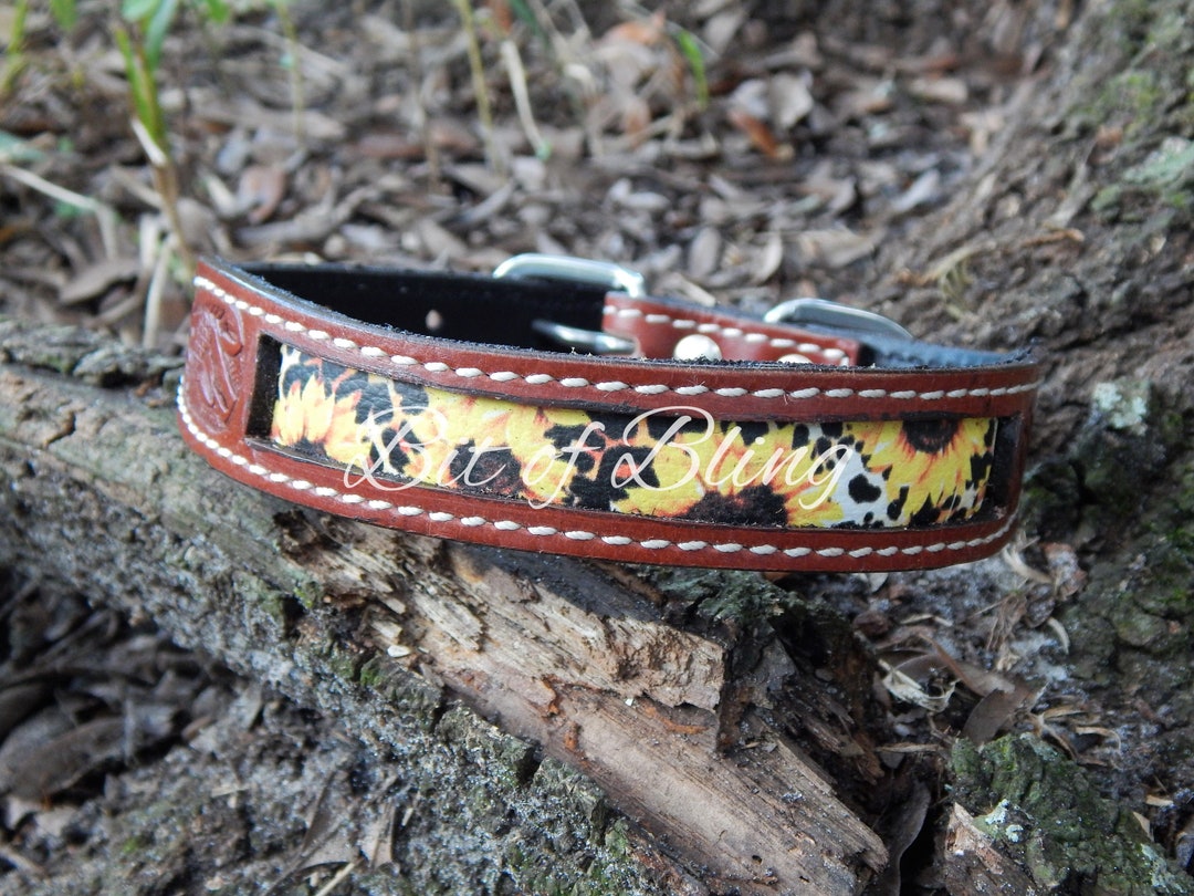 Sunflower and Cheetah Inlay Tooled Leather Dog Collar - Dog Dogs Puppy ...