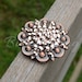 Round Berry Concho , Rose Gold - Horse Tack ; Bling Concho Crystal ...