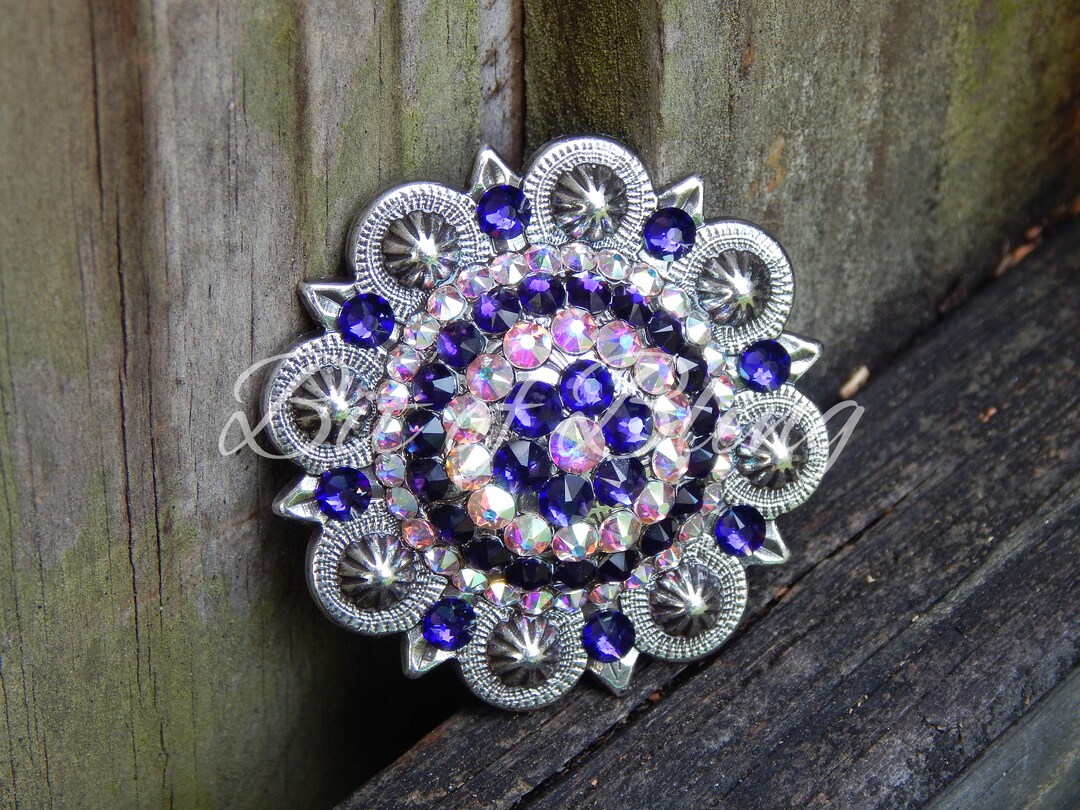 Custom 2 Round Berry Concho Western Horse Tack You Choose Concho Finish ...