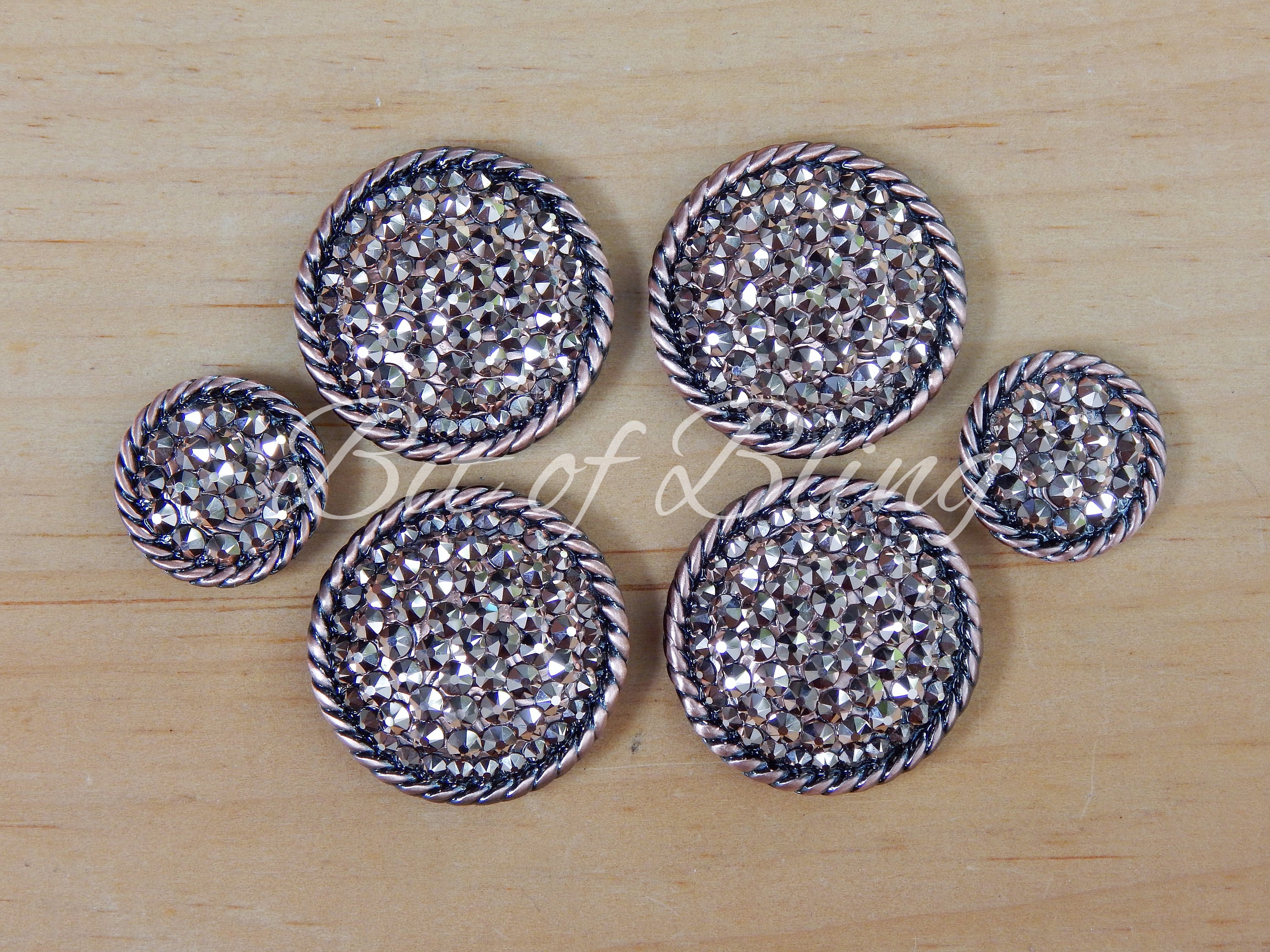 Western Horse Tack Rose Gold Copper Round Rope Edge Feathers Concho Pet ...