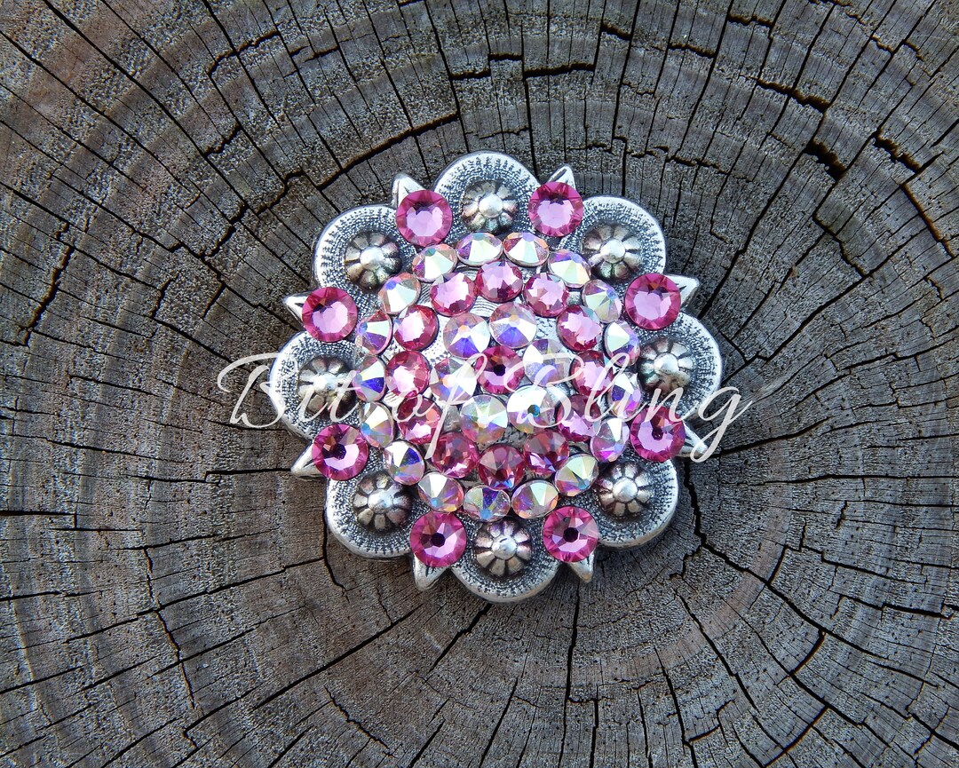 Rose & Crystal AB Antique Silver Round Berry Concho Horse Tack - Etsy