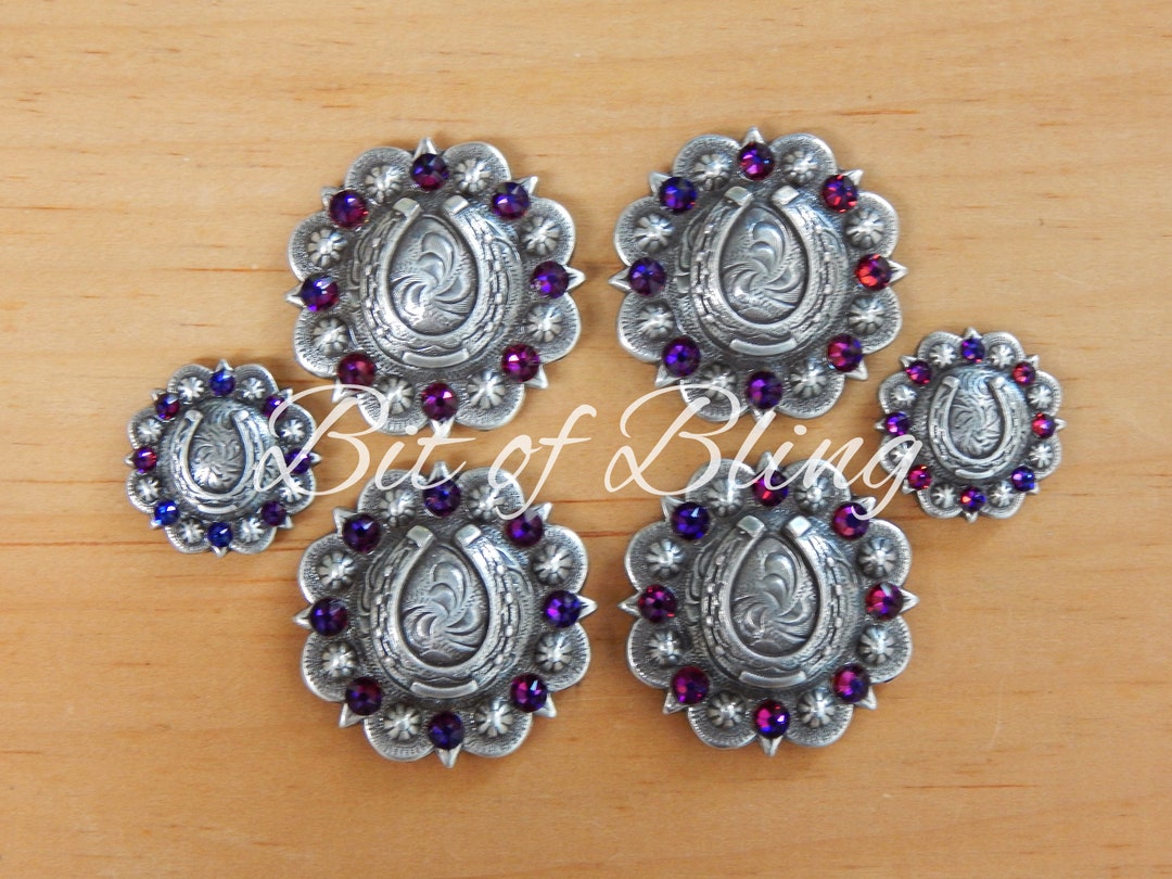 Antique Silver Round Berry Horseshoe Saddle Concho Set With Rhinestones ...