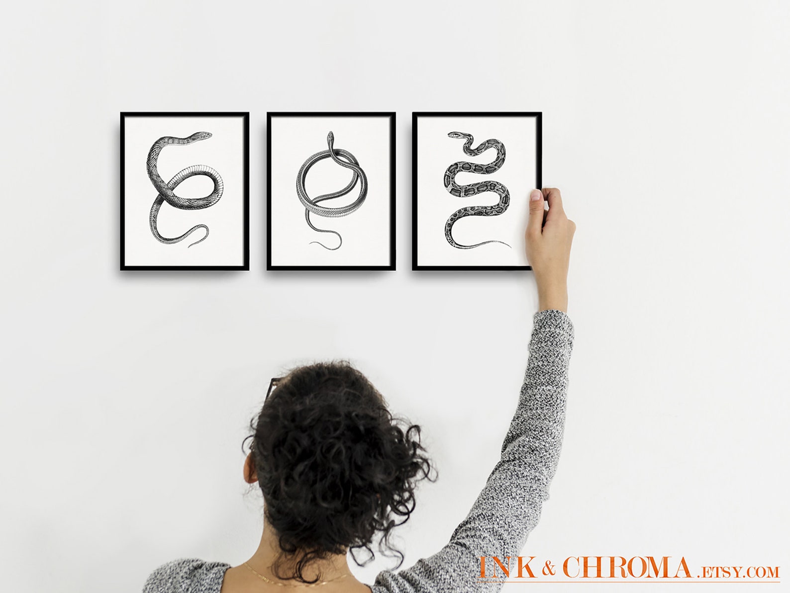 Serpent Print Snake Snake Print Set of 3 Wall Art Snake - Etsy UK