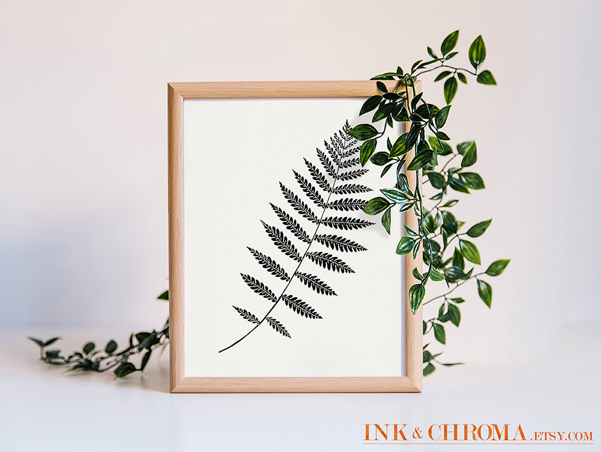 Fern Print Set Set of 5 Fern Art Botanical Print 8x10 | Etsy