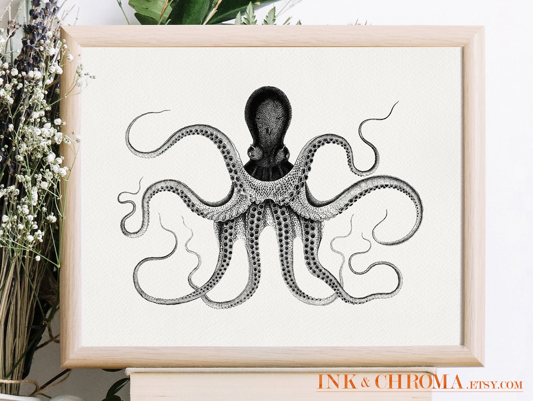 Octopus Print, Home Decor, Office Art, 8x10 / 8x8 Square / 5x7 Print ...