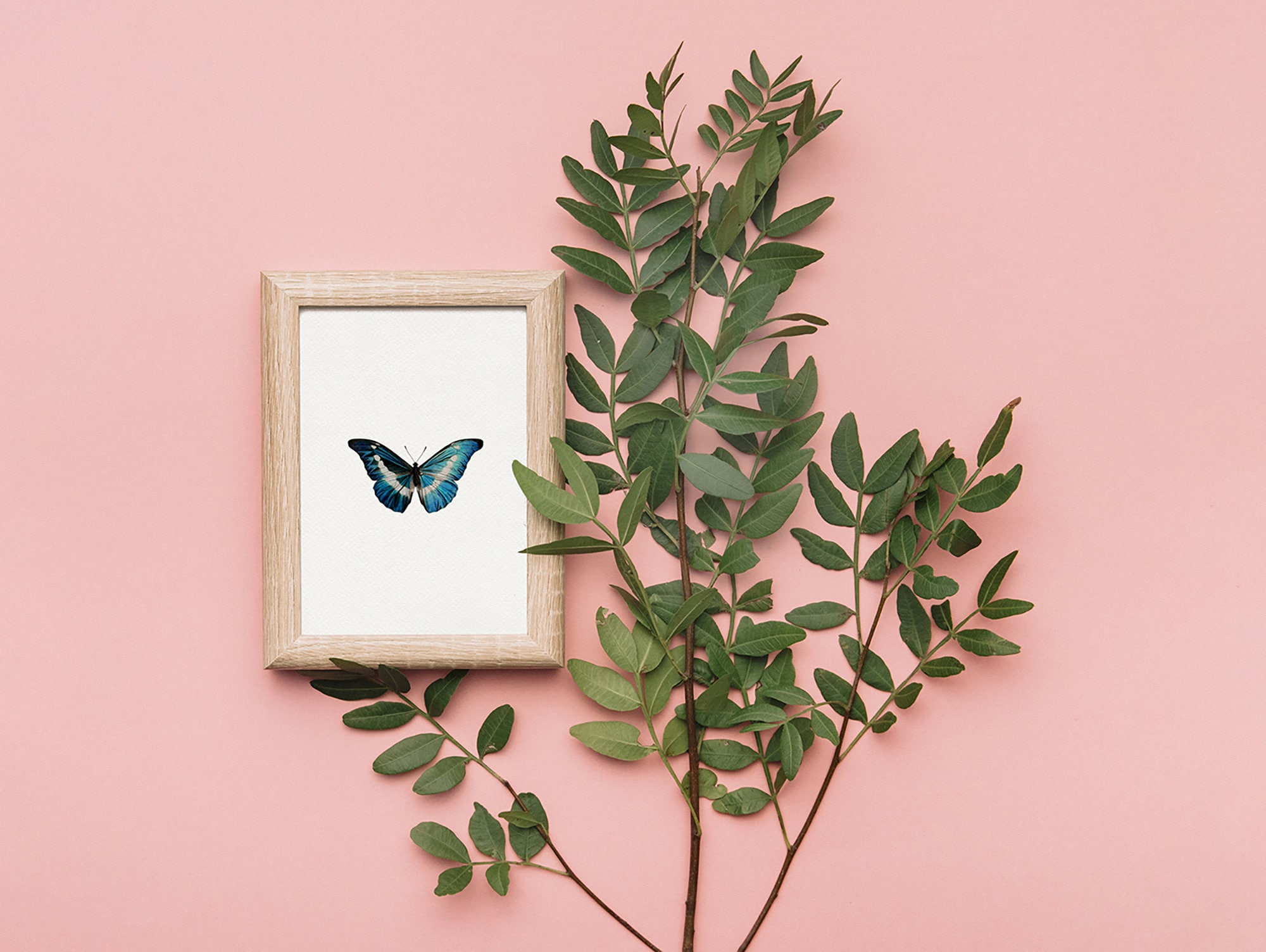 Blue Butterfly Butterfly Print Blue Prints Wall Art | Etsy