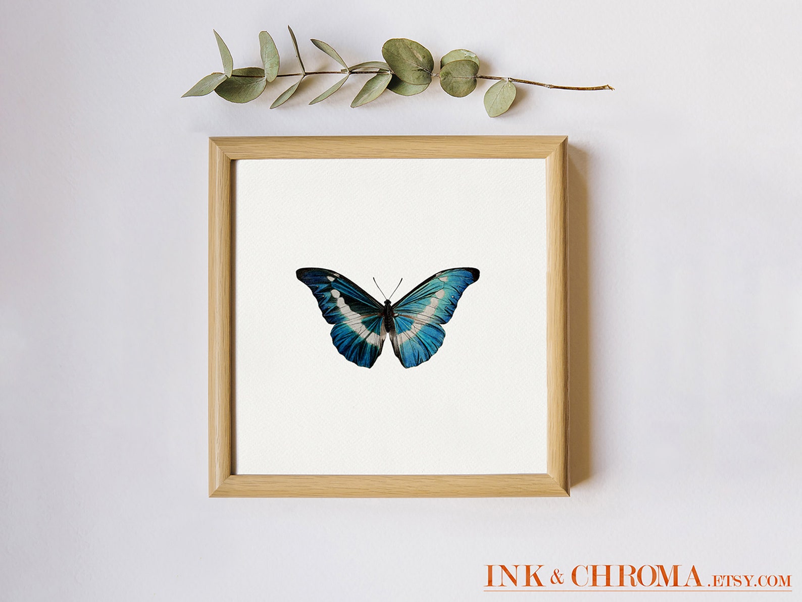 Blue Butterfly Butterfly Print Blue Prints Wall Art | Etsy