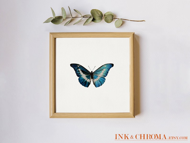 Blue Butterfly Butterfly Print Blue Prints Wall Art - Etsy