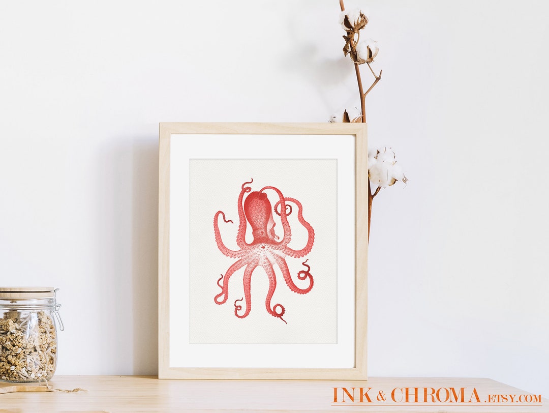 Red Octopus Print: Vintage Marine Art, Coastal Wall Decor - Etsy
