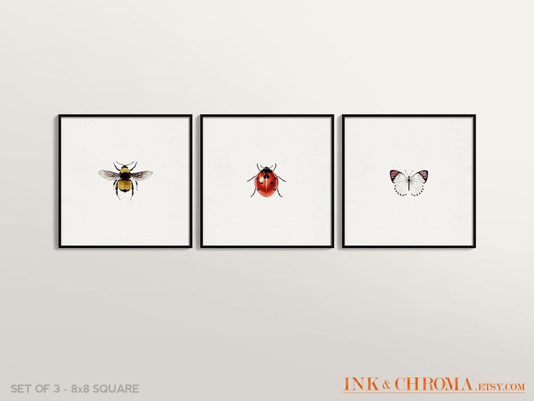 Set of 3 Bug Prints, Bee, Ladybird / Ladybug and Butterfly Trio, Square ...