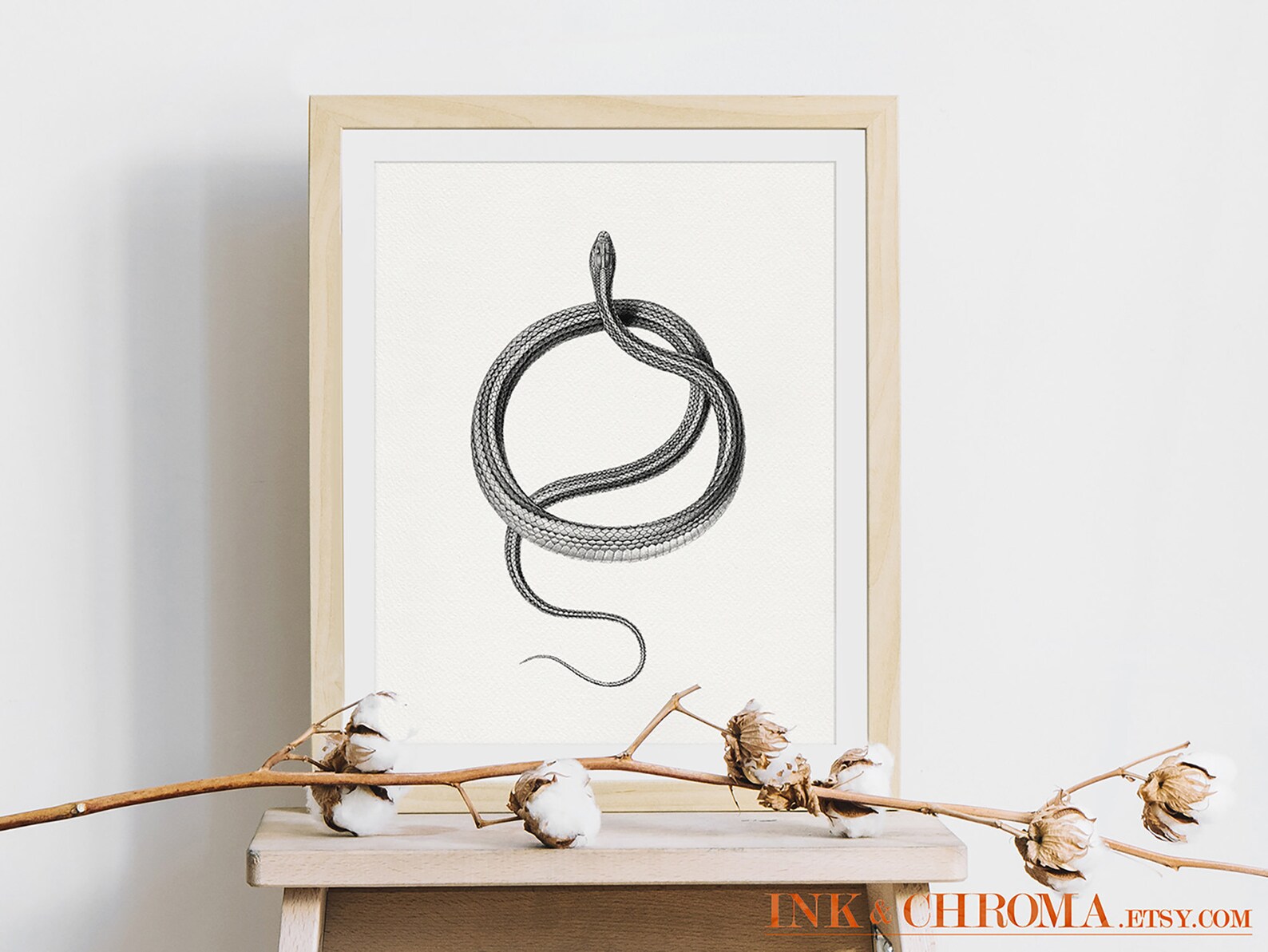 Snake Print Snake Serpent Snake Art Living Room Art 8x10 - Etsy