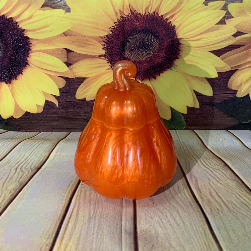 Butternut Squash Decor - Etsy UK