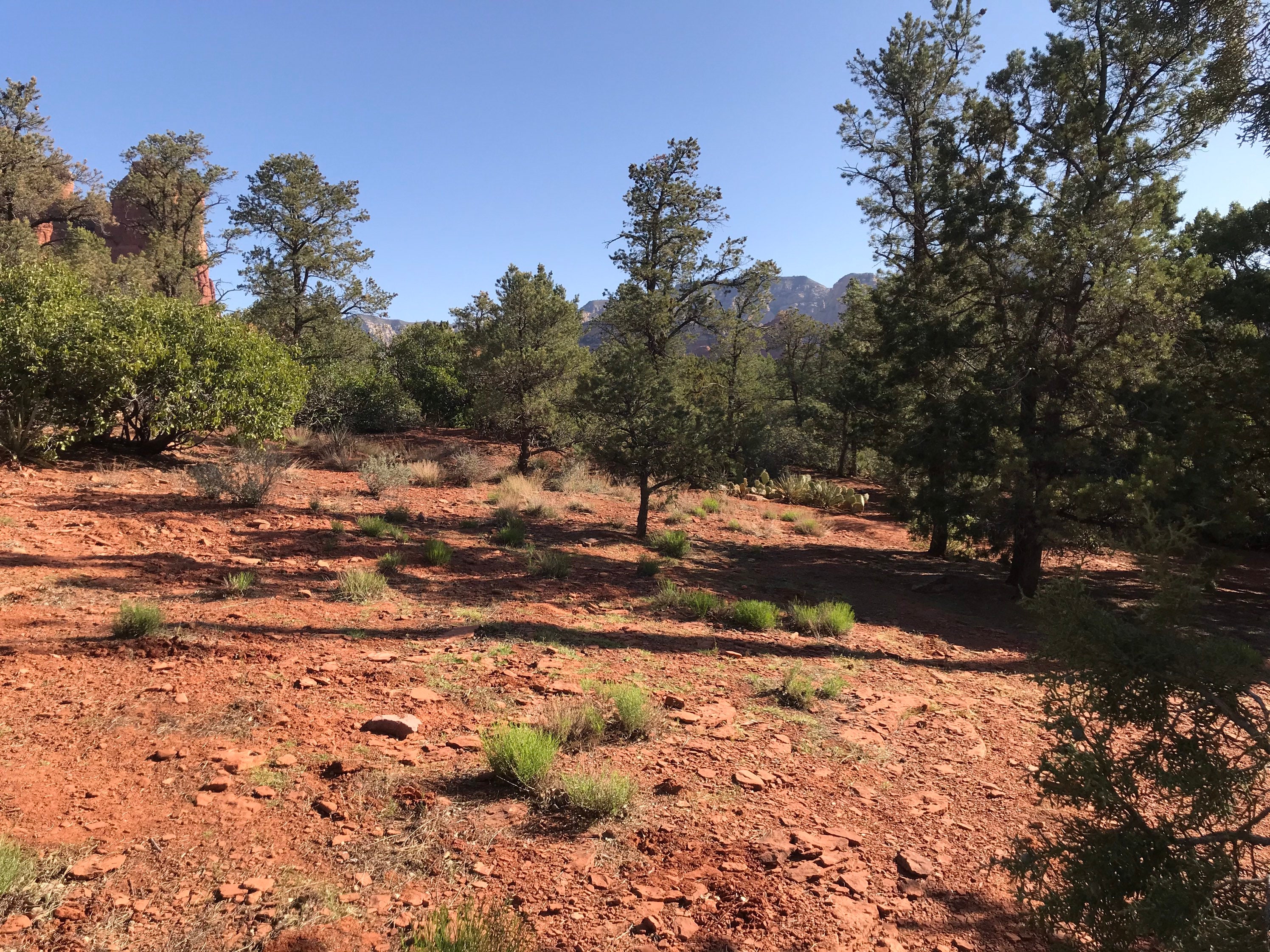 2 & 1/4 Lb Bag of Sedona AZ Red Dirt/sand From Sedona AZ - Etsy