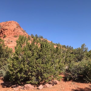 2 & 1/4 Lb Bag of Sedona, AZ Red Dirt/sand From Sedona, AZ, Red Dirt ...