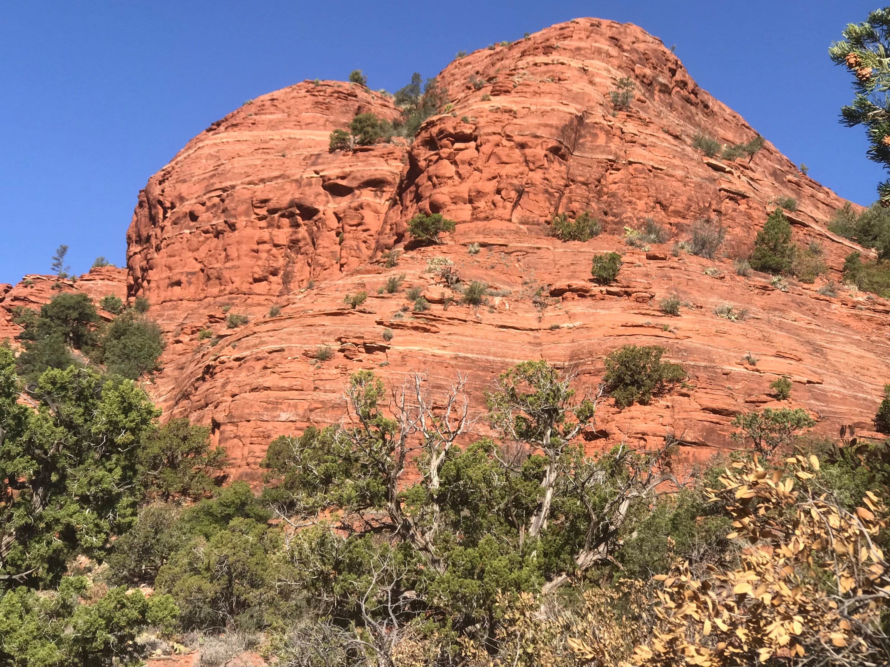 2 & 1/4 Lb Bag of Sedona AZ Red Dirt/sand From Sedona AZ - Etsy