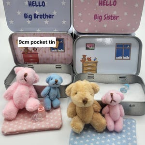 Hello Big Brother or Sister Sibling Gift. Teddy Bear Sibling Reveal ...