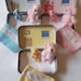 Teddy Family Mini Tin,tiny Teddy Family,all Inclusive Family,choose ...