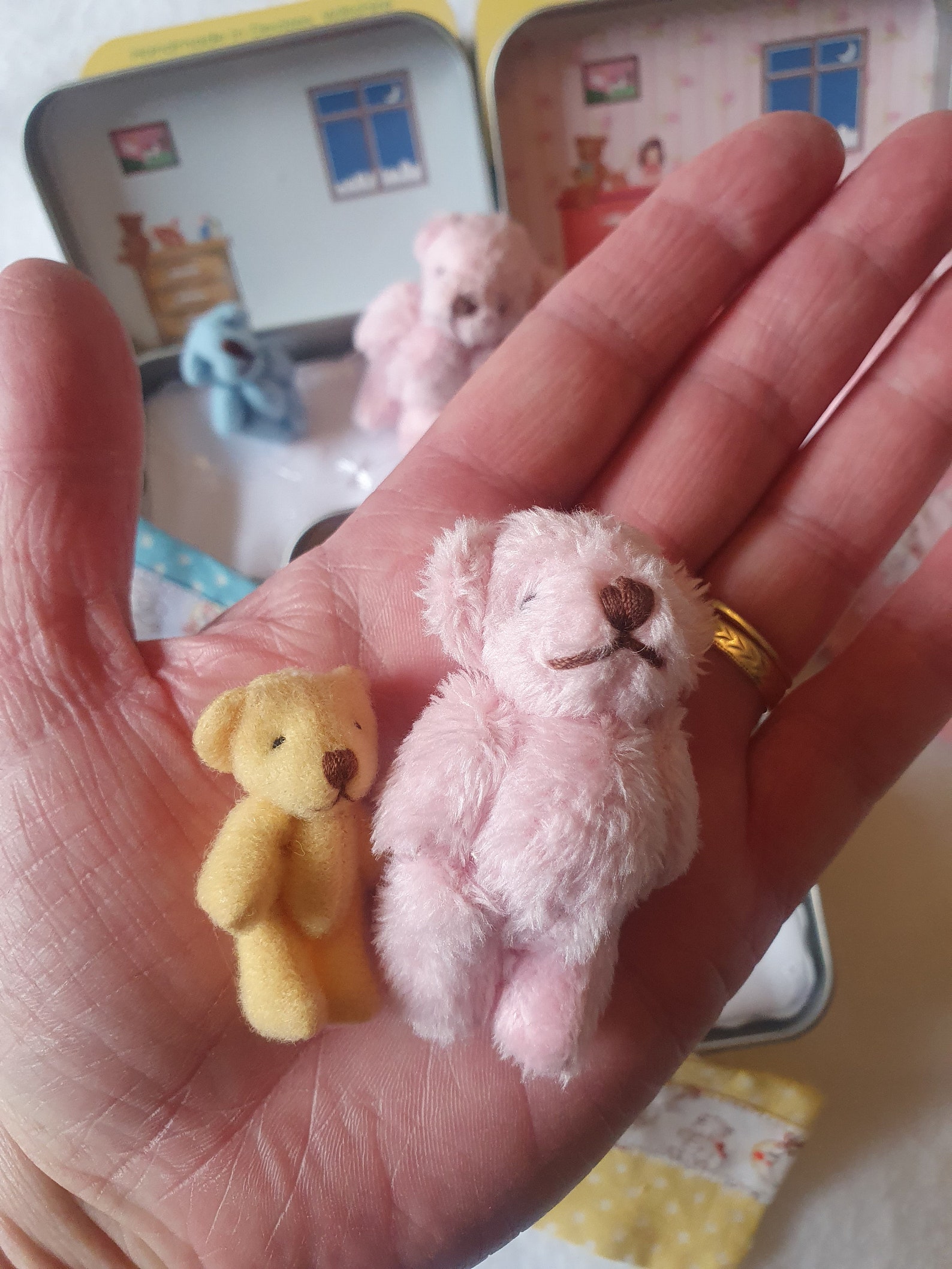 Teddy Family Mini Tin,tiny Teddy Family,all Inclusive Family,choose ...